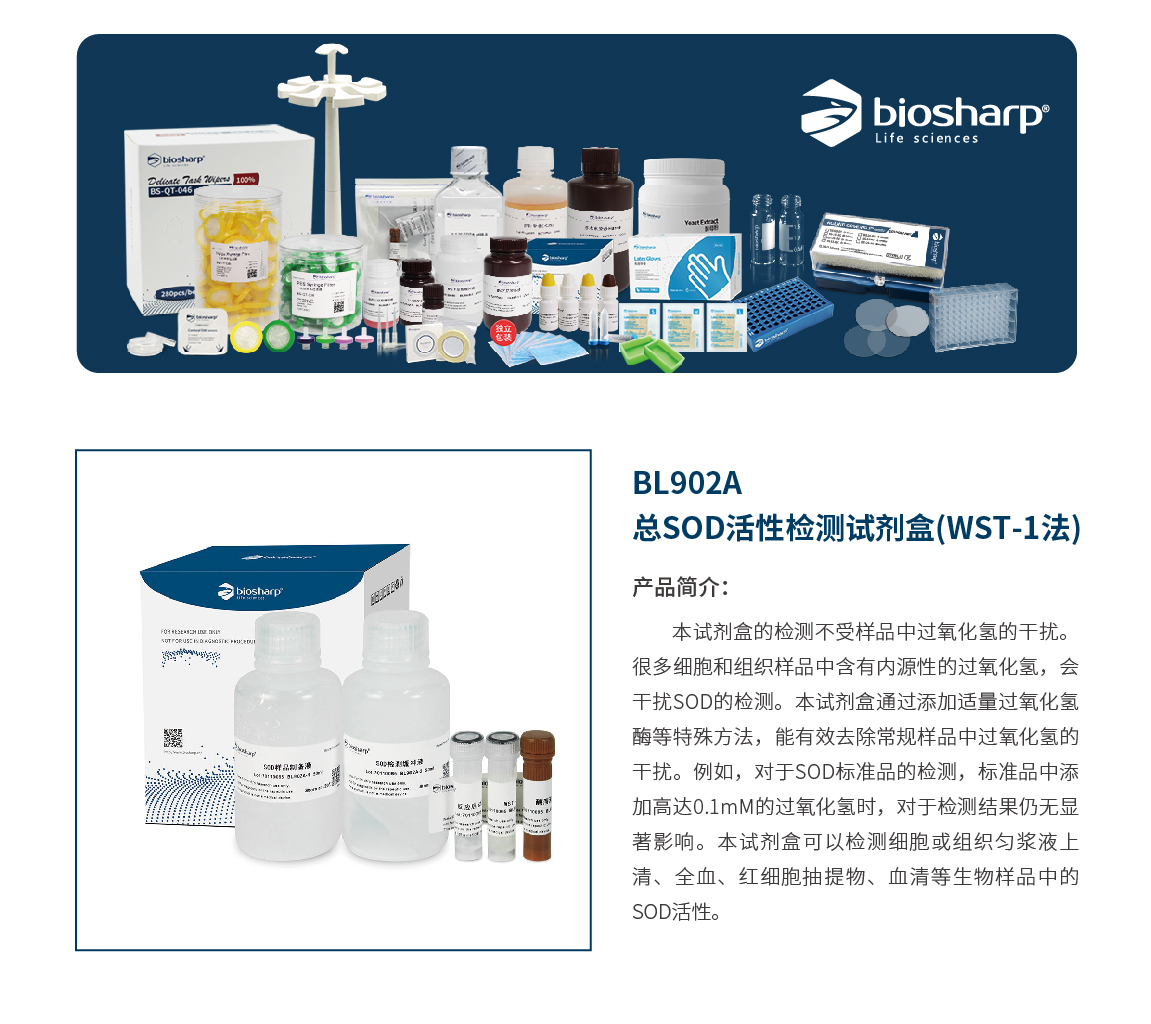 Biosharp BL902A 总SOD活性检测试剂盒（WST-1法） - 试剂仪器耗材